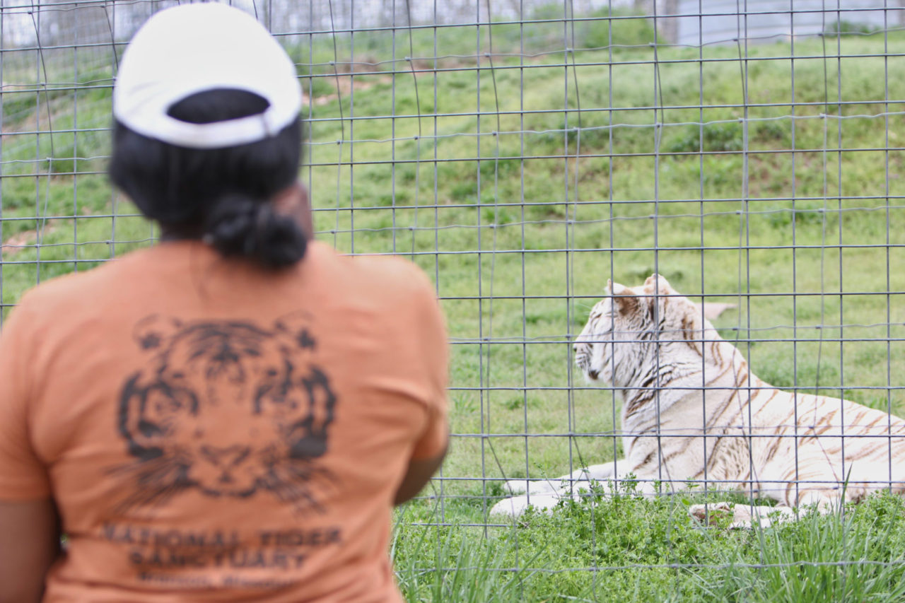 Learn | National Tiger Sanctuary