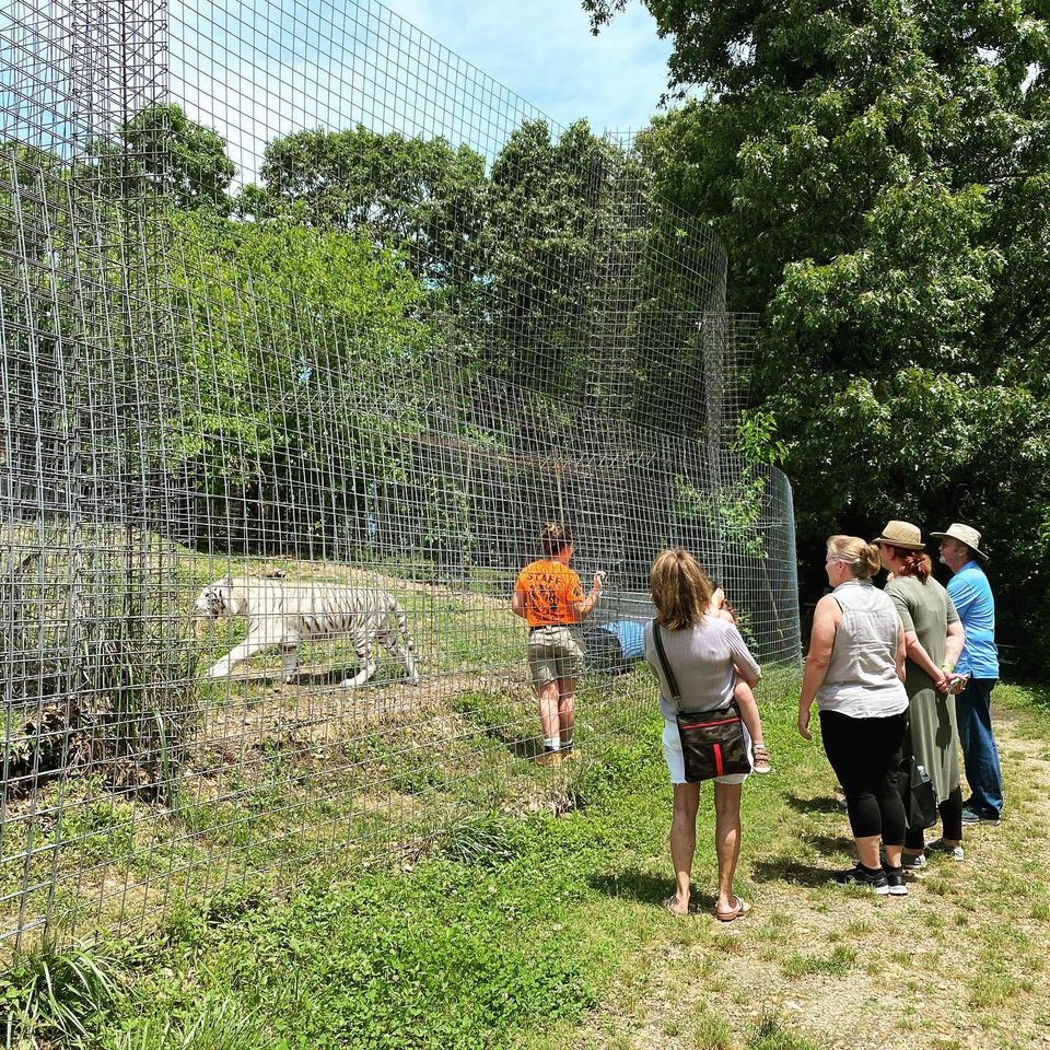 Experience | National Tiger Sanctuary