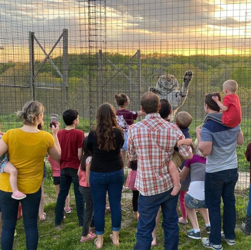 Experience | National Tiger Sanctuary